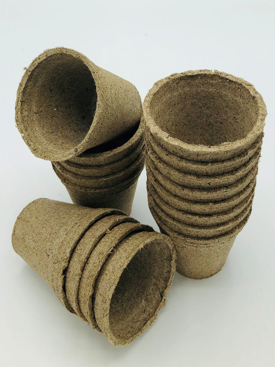 100 Biodegradable Plant Pots with 50 FREE Plant Markers Maldon Essex ...